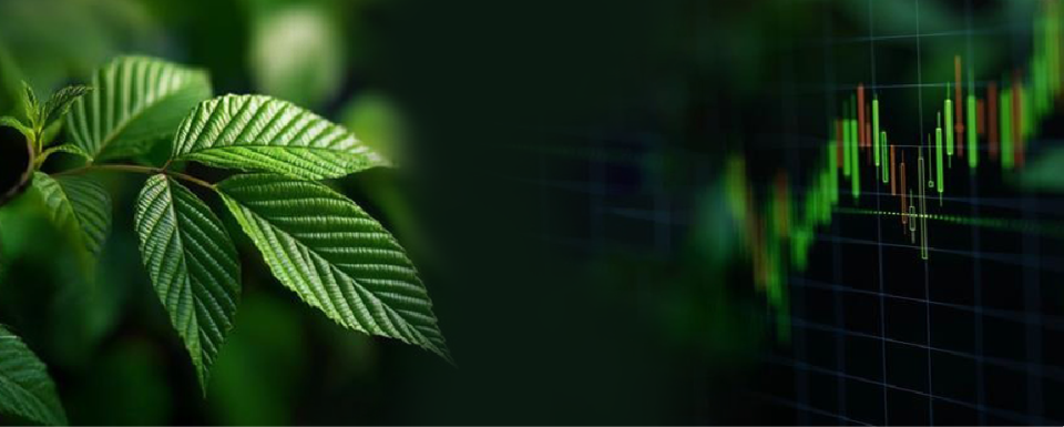 Biodiversity Risk: Understanding Systemic Threats